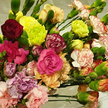 Deliver Addis - Flowers