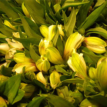 Deliver Addis - Flowers